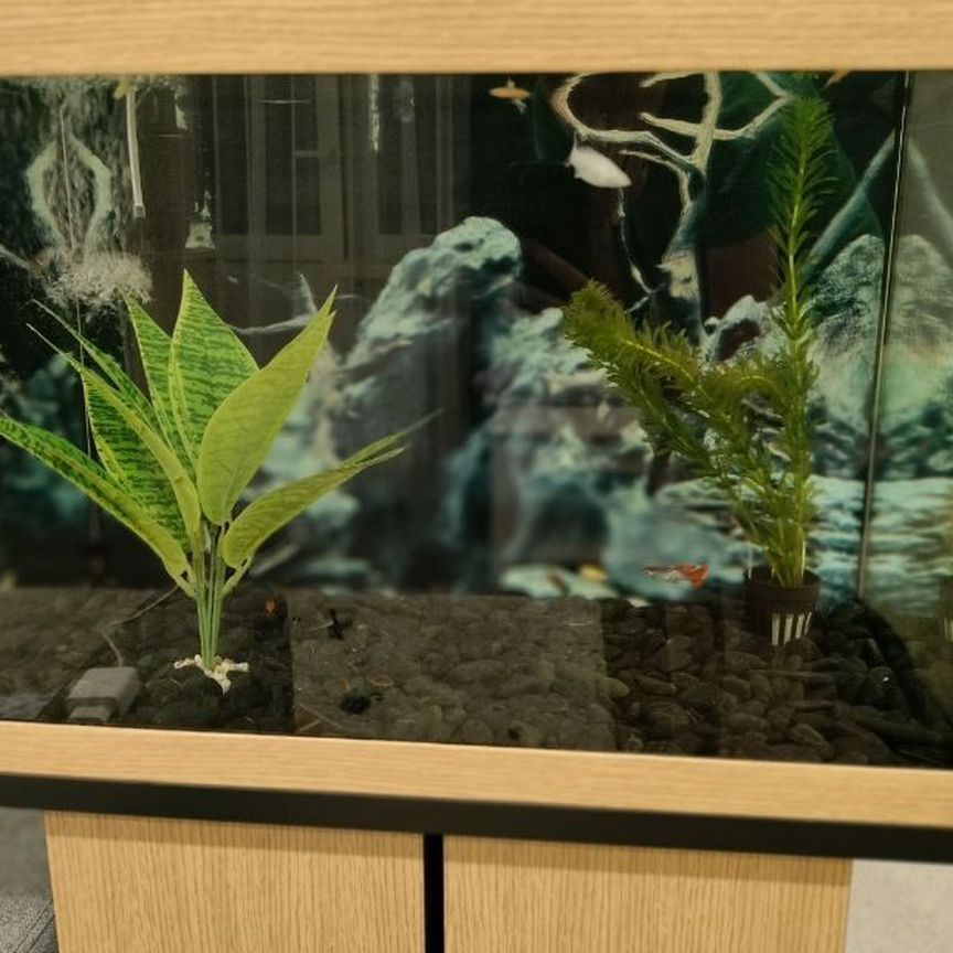 Аквариум с тумбой бу