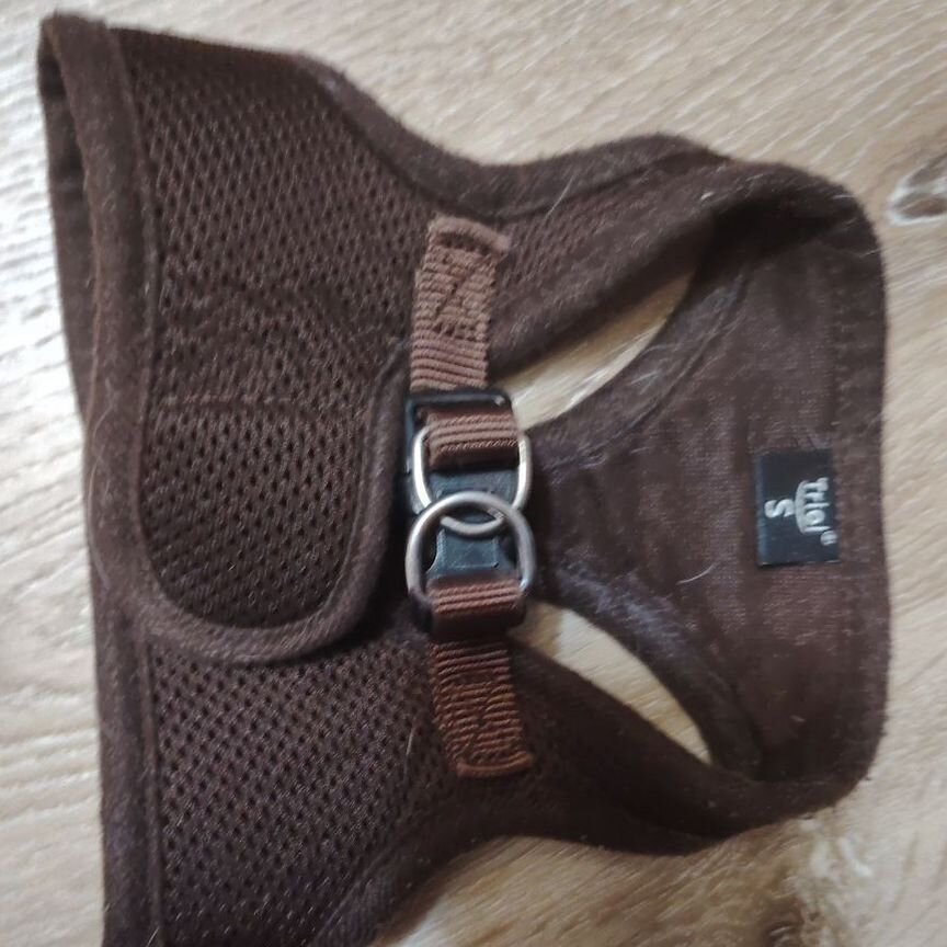 Шлейка для маленькой собаки s