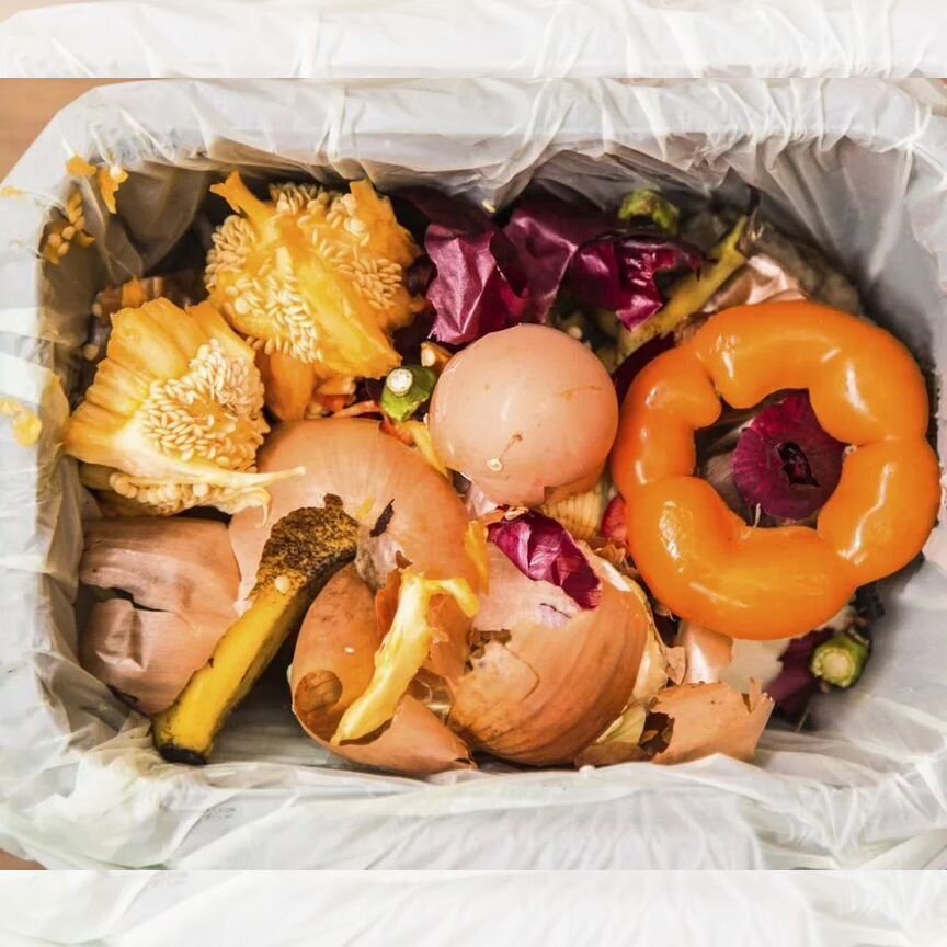 Отдам пищевые отходы