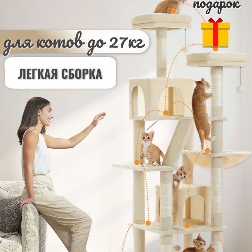 Кошачий домик разных цветов