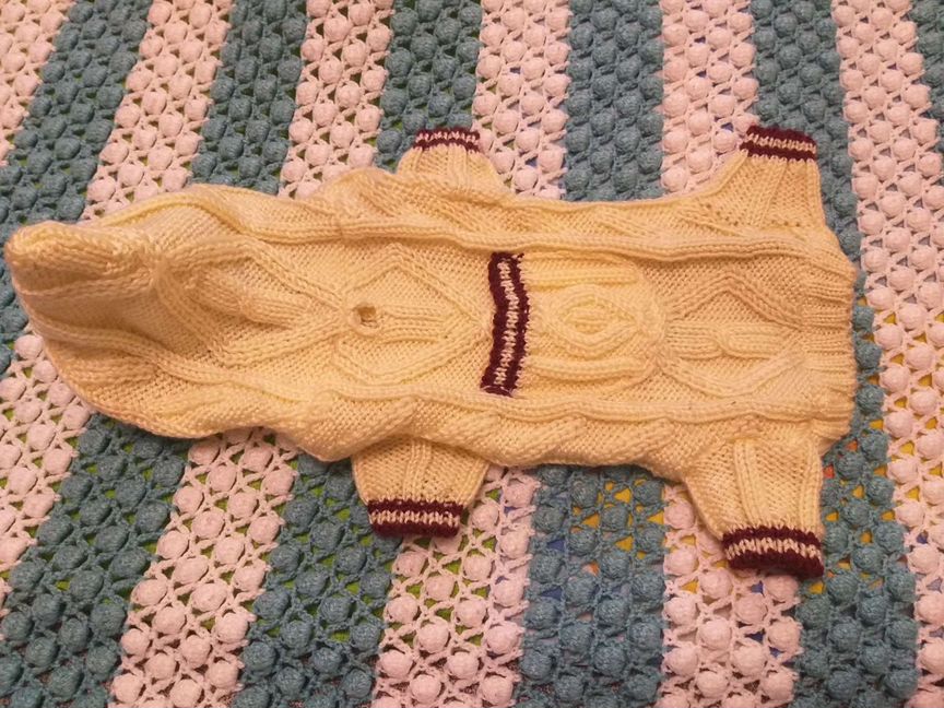 Новый комбез на маленькую собачку