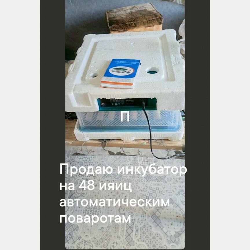 Инкубатор для яиц автоматический переворот бу