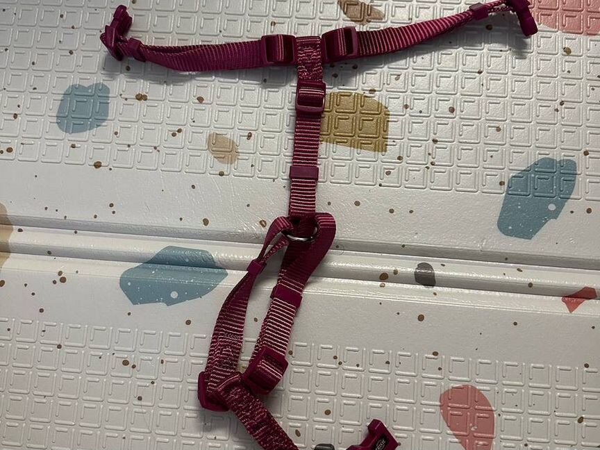 Шлейка для собаки Trixie Premium H-harness