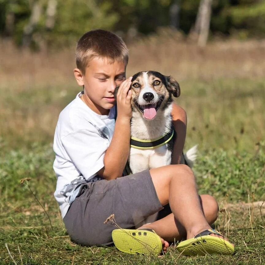 Нежная собачка Венди
