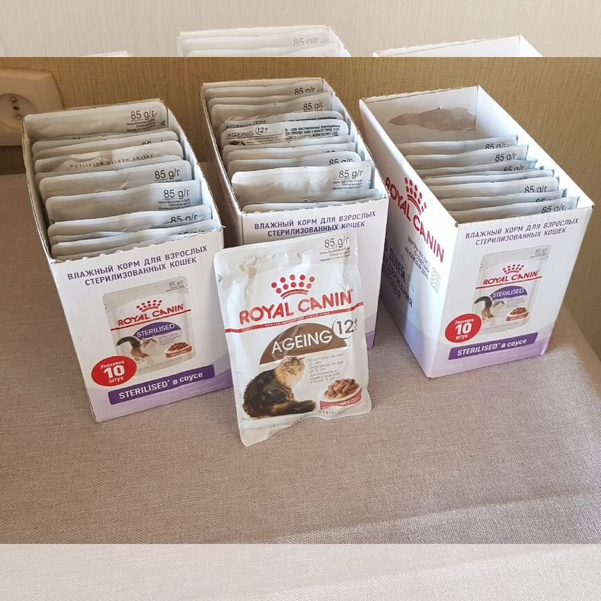 Корм для кошек