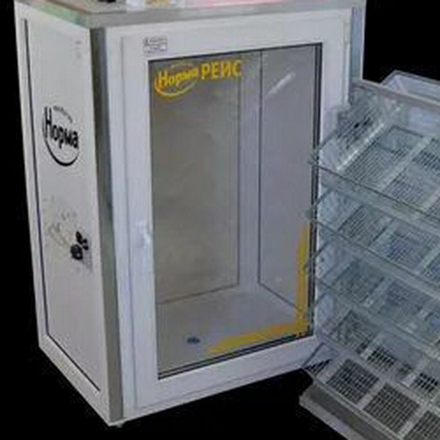 Инкубатор Норма Рейс