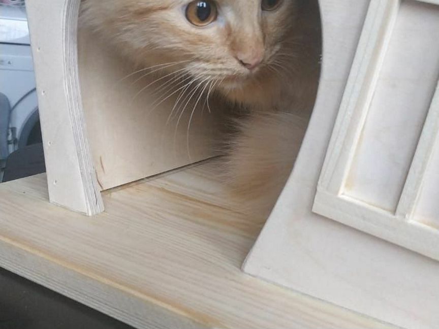 Домик для кошки, собаки, белки