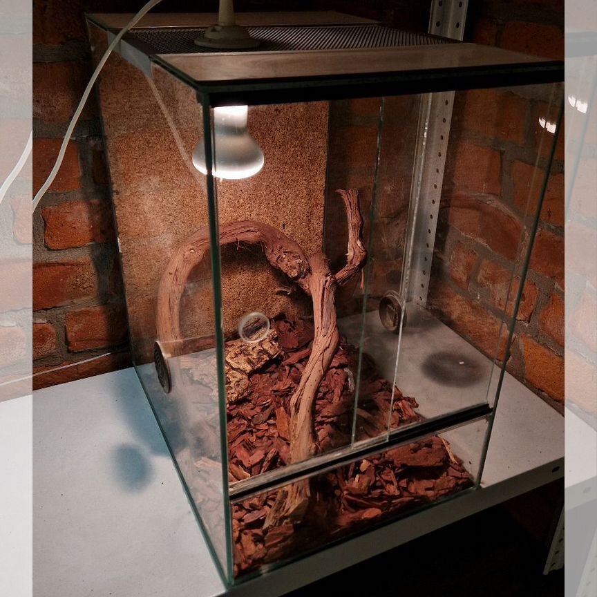 Террариум бу