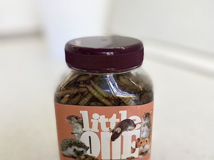 Смесь насекомых