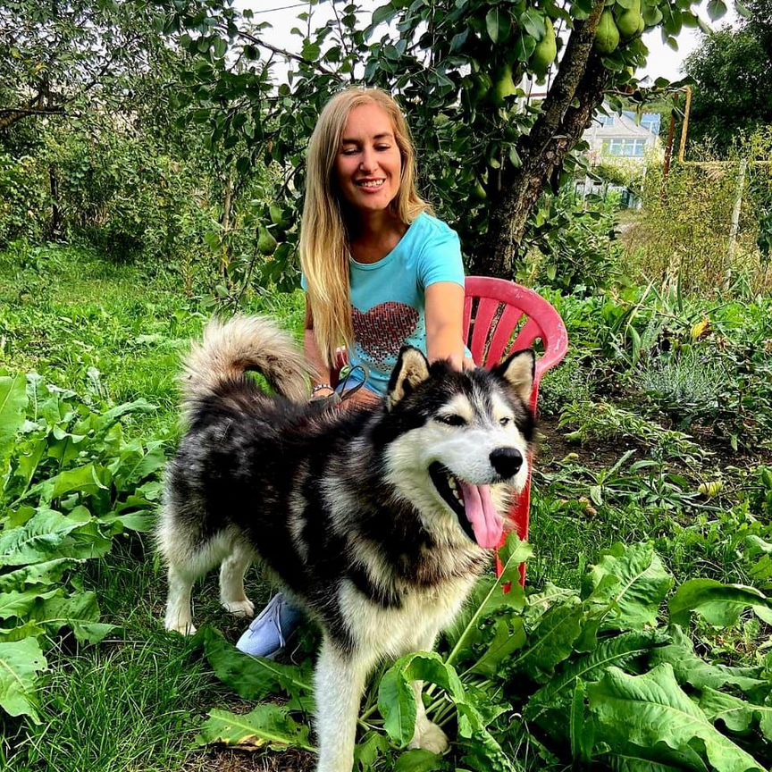 Грей в добрые ручки