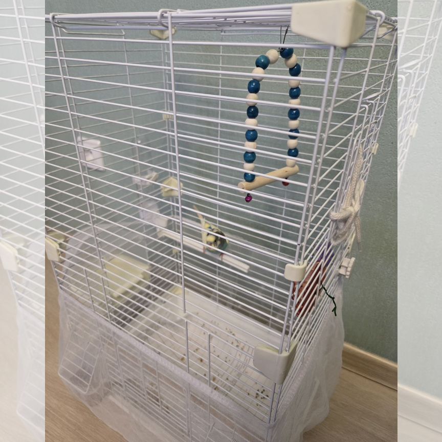 Волнистый попугай с клеткой