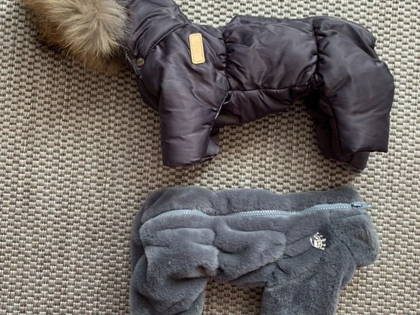 Одежда для маленькой собачки