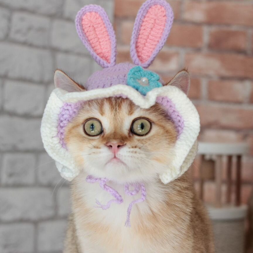 Шотландская девочка страйт by 11