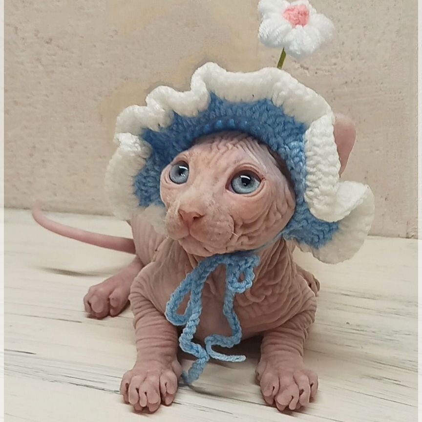 Эльф котёнок