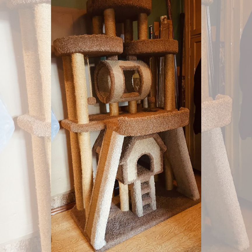 Комплекс для крупных кошек "Пушок" с хранения