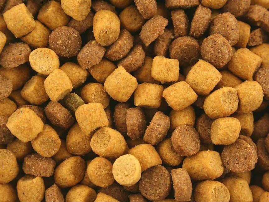 Корма для собак и кошек оптом