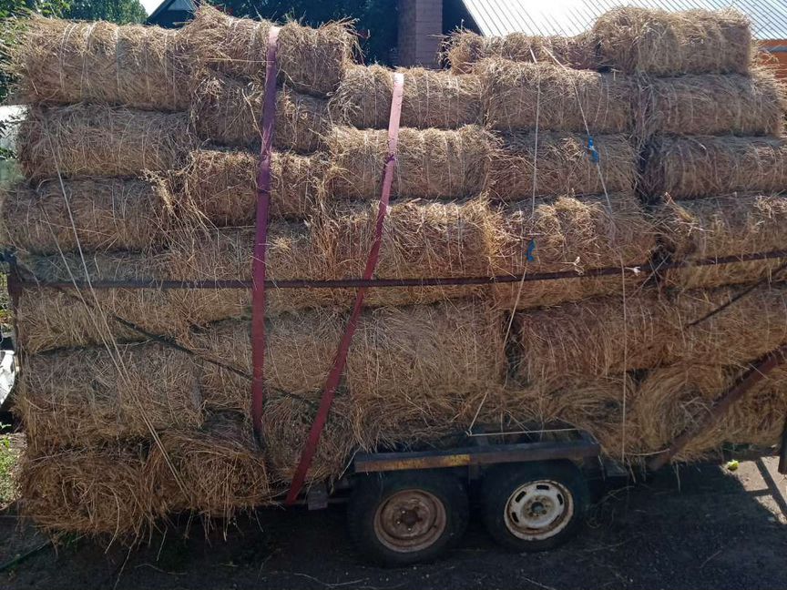 Сено луговое в тюках