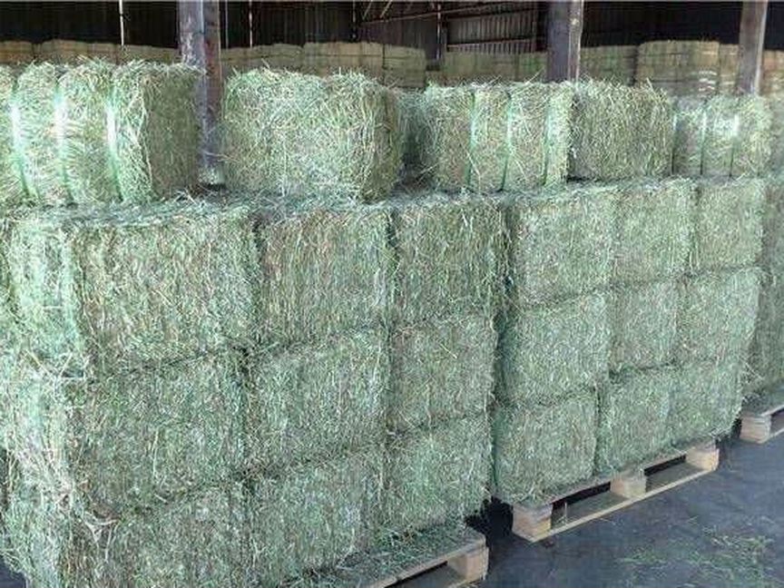 Солома и сено в мини рулонах