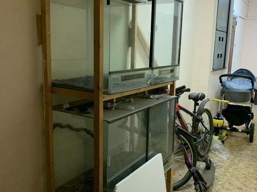 Террариумы