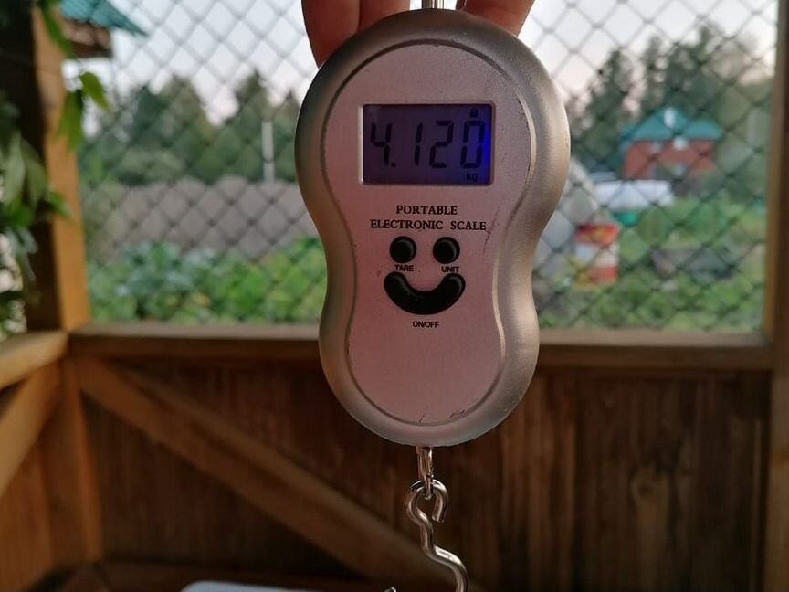 Воскомасса для Дмитрия