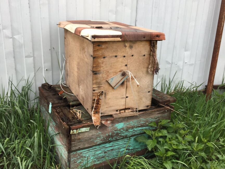 Ловушка для пчёл новые и б/у