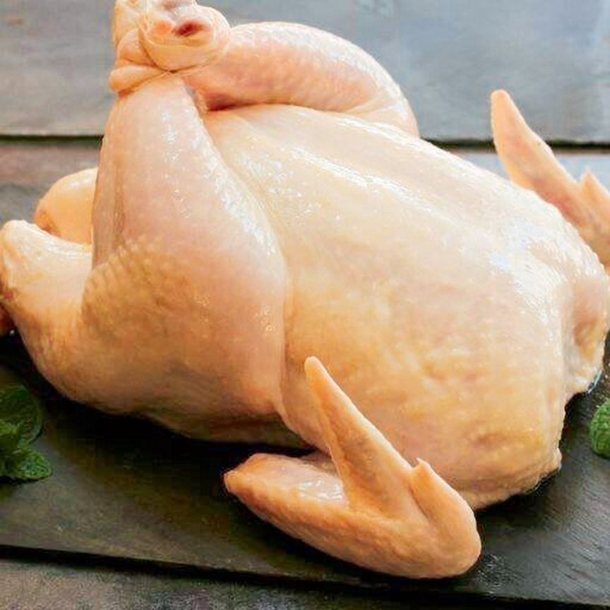 Куры бройлеры мясо