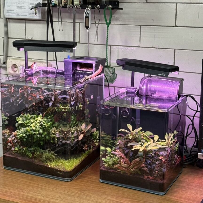 Обслуживание аквариумов