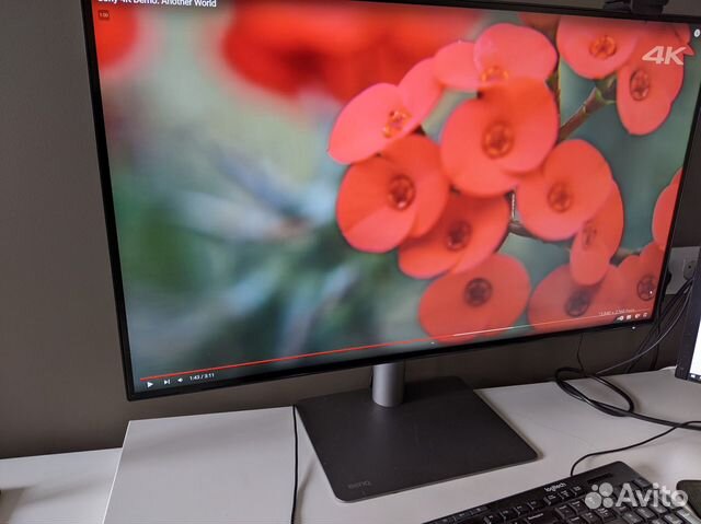 Монитор для дизайнеров 31.5 дюйма BenQ PD3220U купить в Москве ...