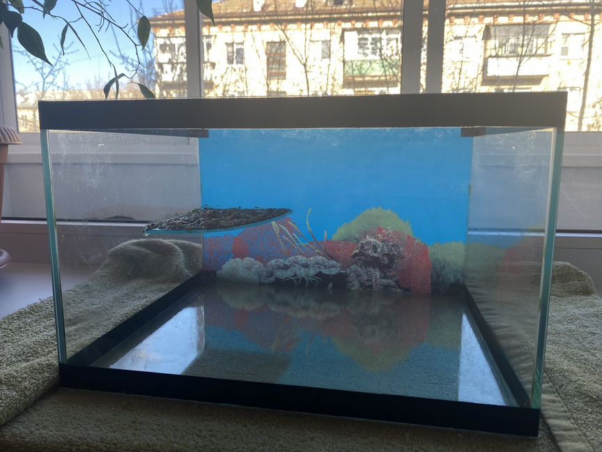 Аквариум террариум