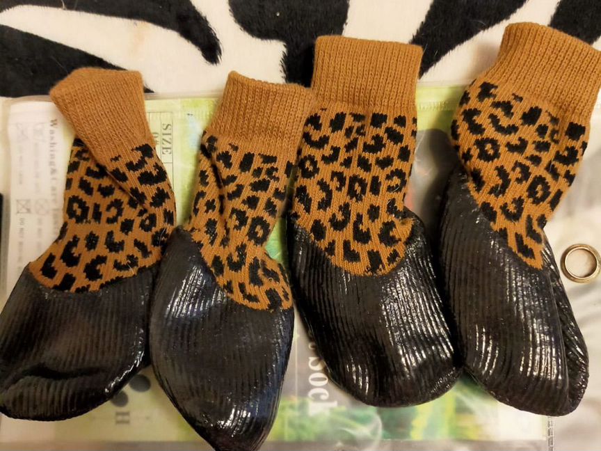 Обувь для животных