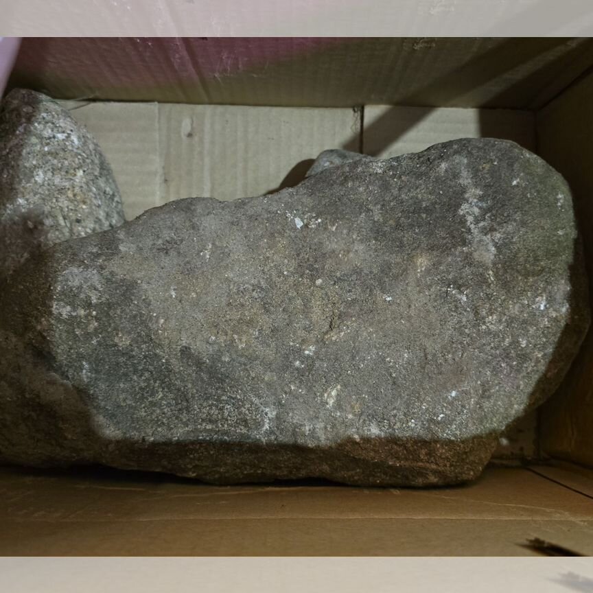 Камень в террариум