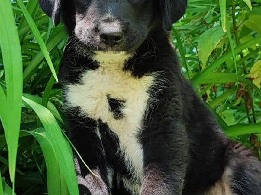 Я стану большой и красивой