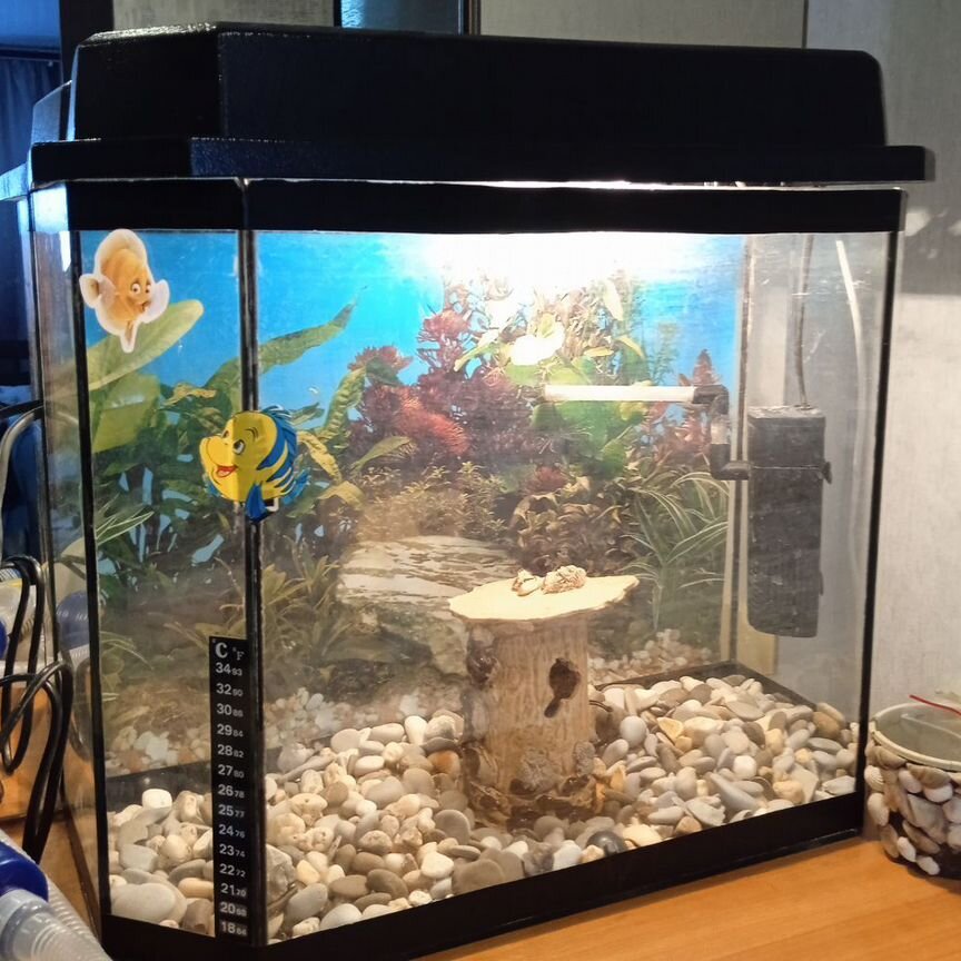 Аквариум и всё что нужно для рыбок