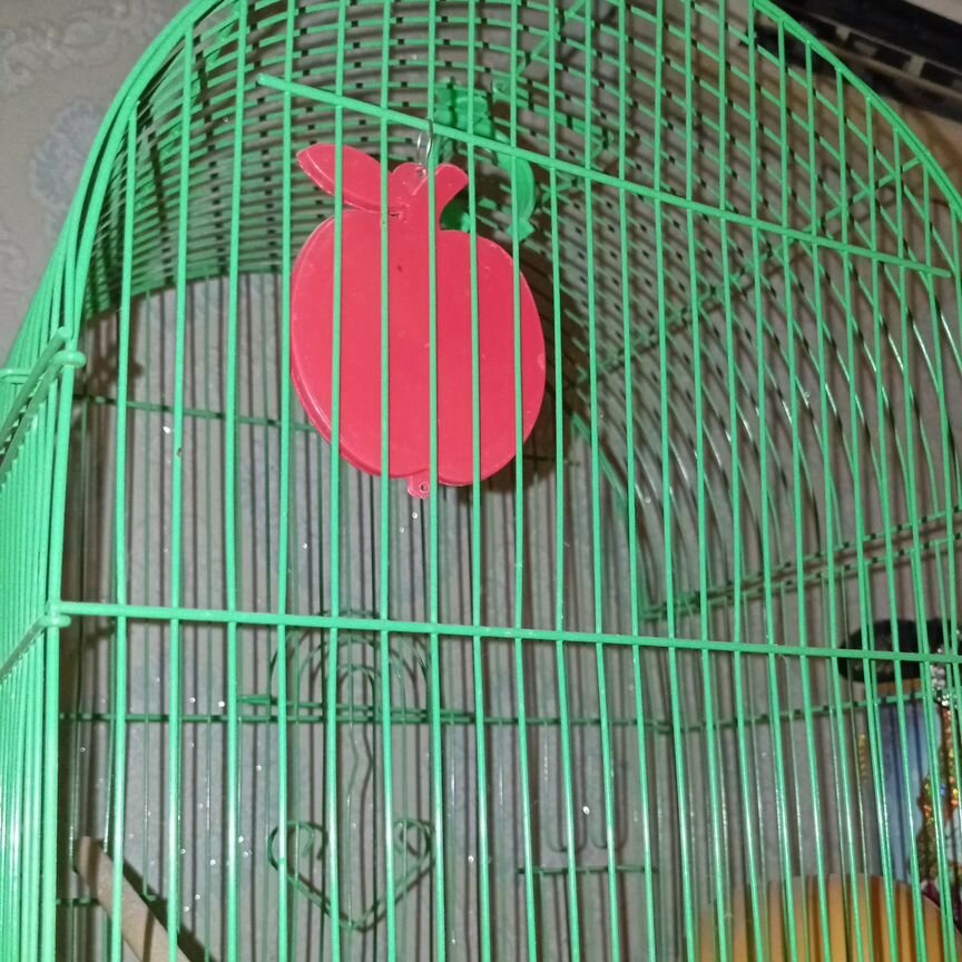 Клетка для попугая