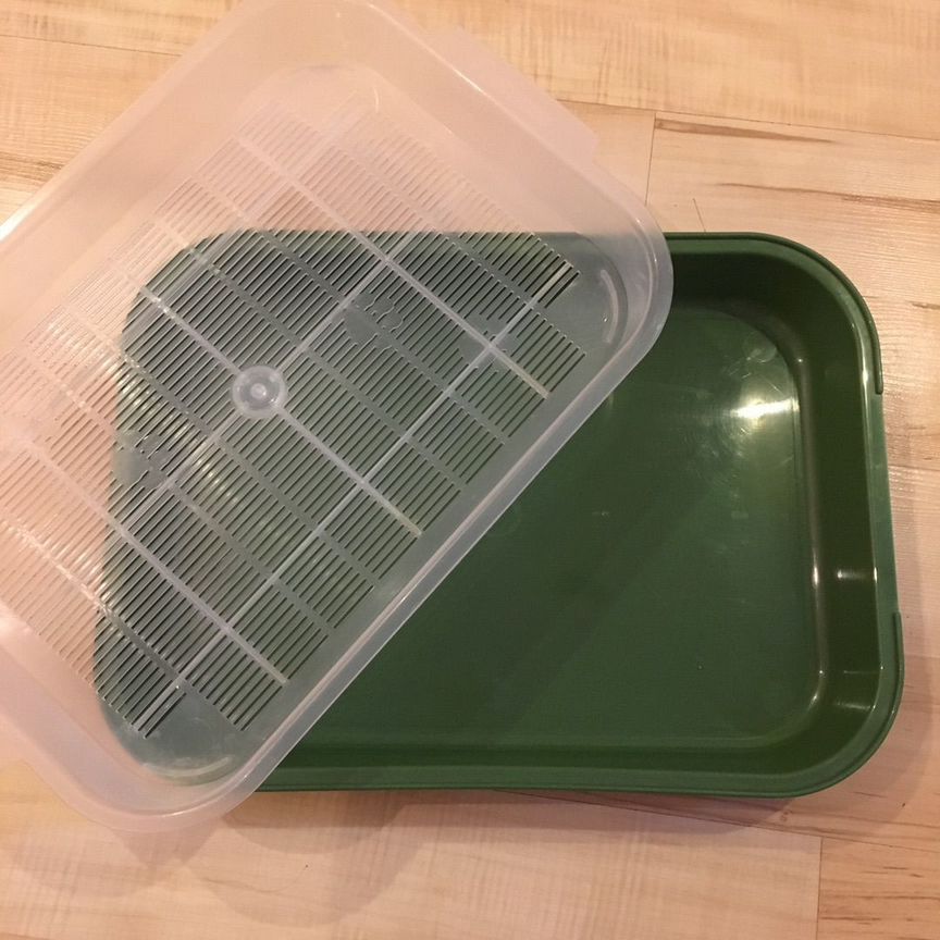 Лоток для кошек