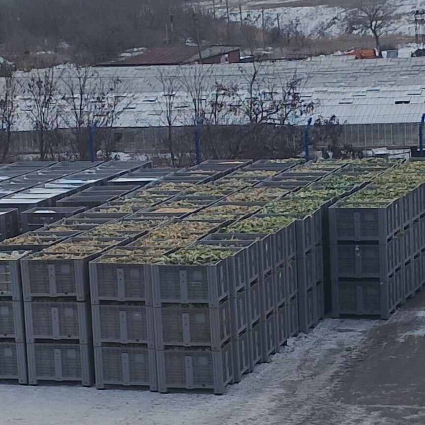 Корма для сельскохозяйственных