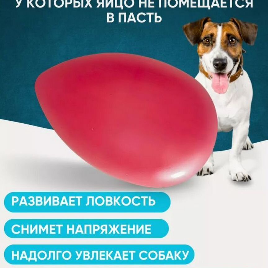 Игрушка для собак неуловимое яйцо