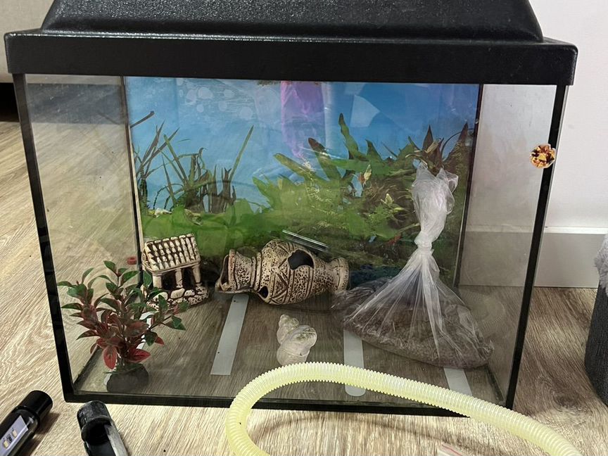 Аквариум 20 литров