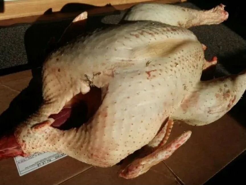 Мясо домашней индейки