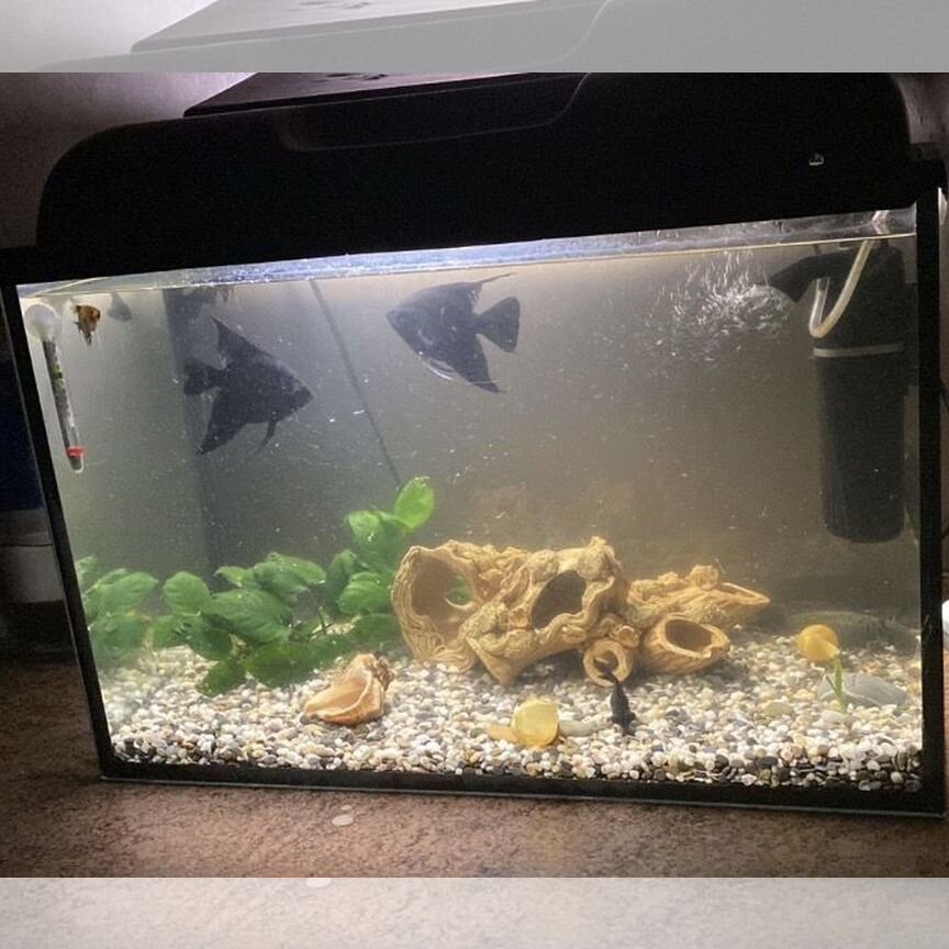 Аквариум 60 литров