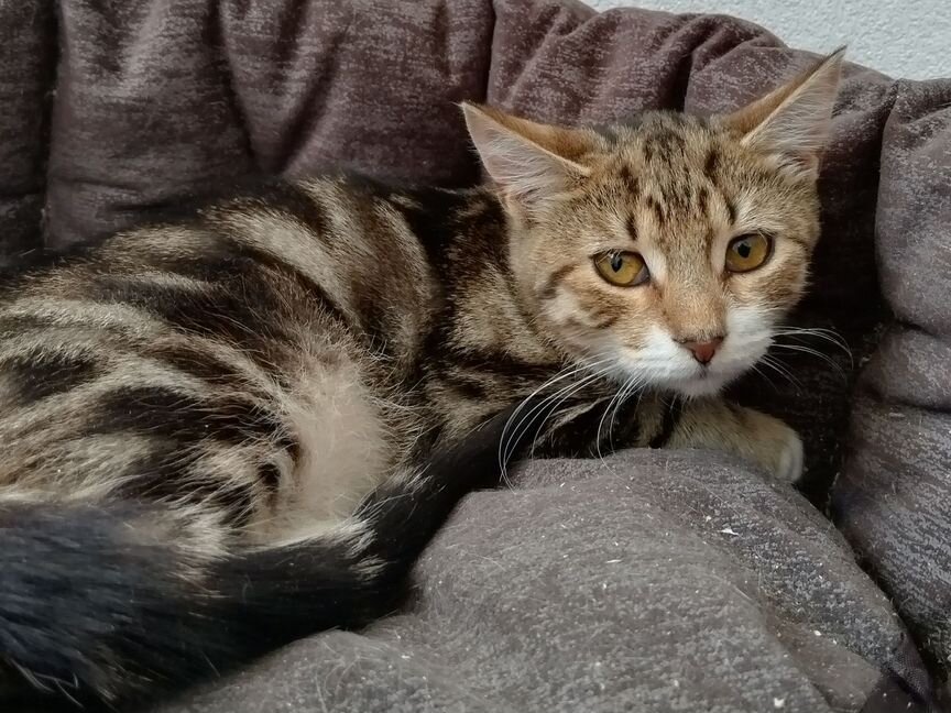 Мраморная красавица