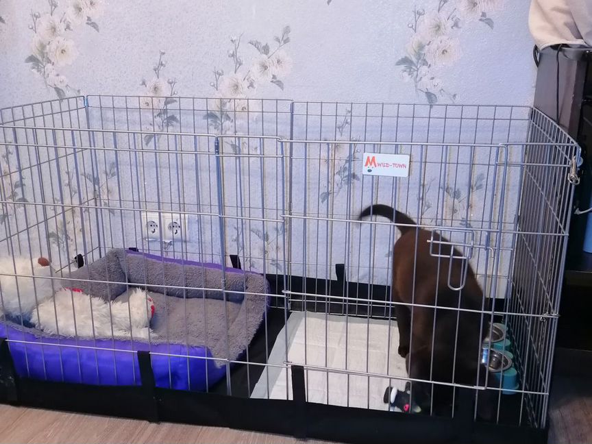 Вольер для собак в квартиру бу