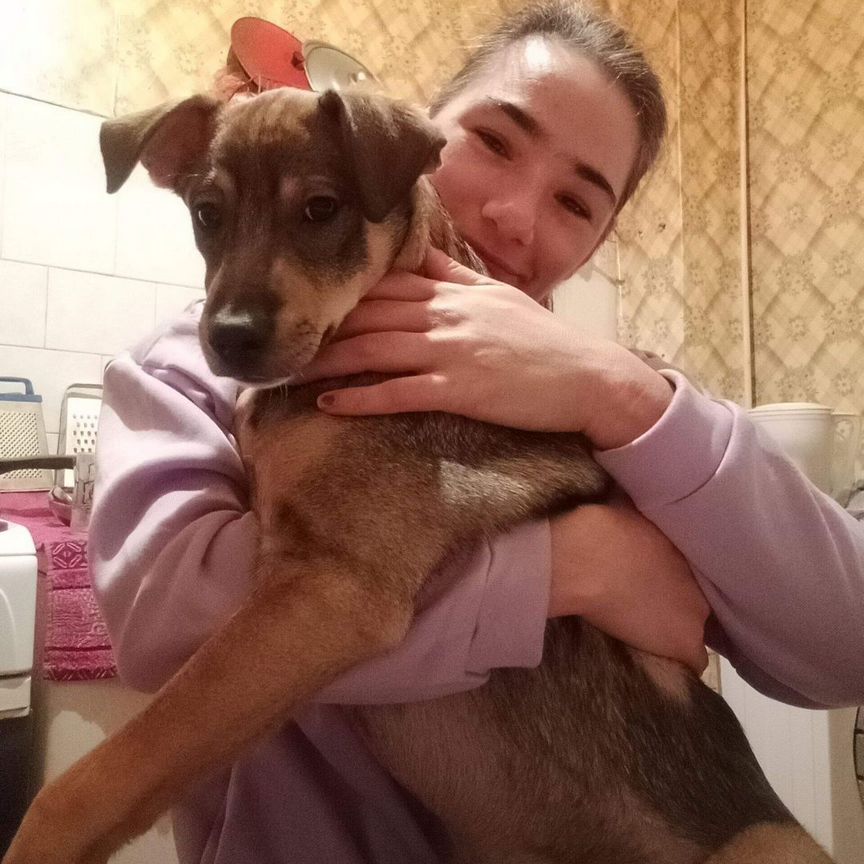Собака в добрые руки отдам бесплатно
