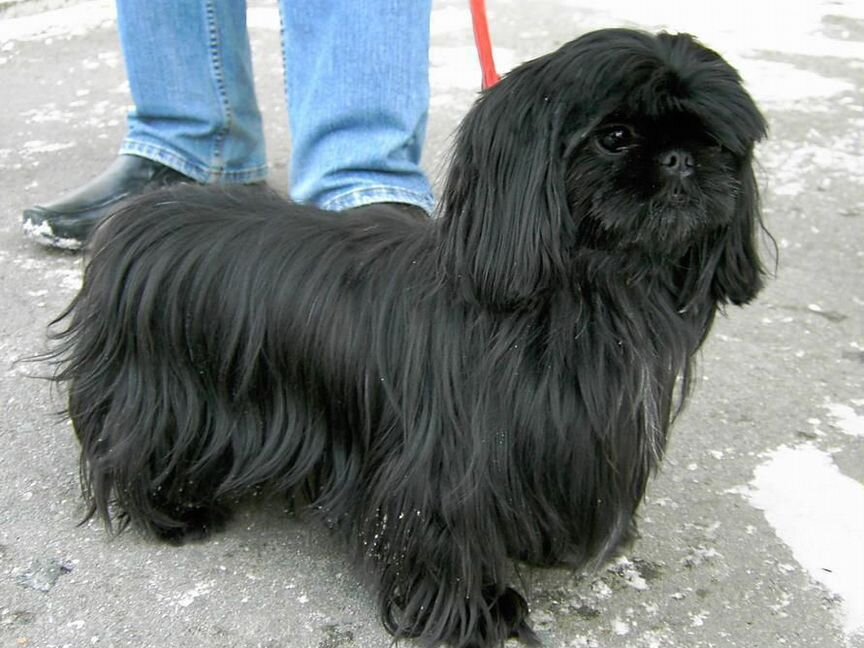 Парнишка в добрые руки