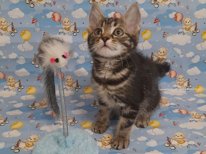 Камилла 2 месяца