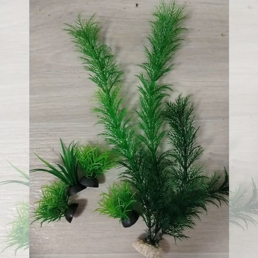 Искусственные растения для аквариума