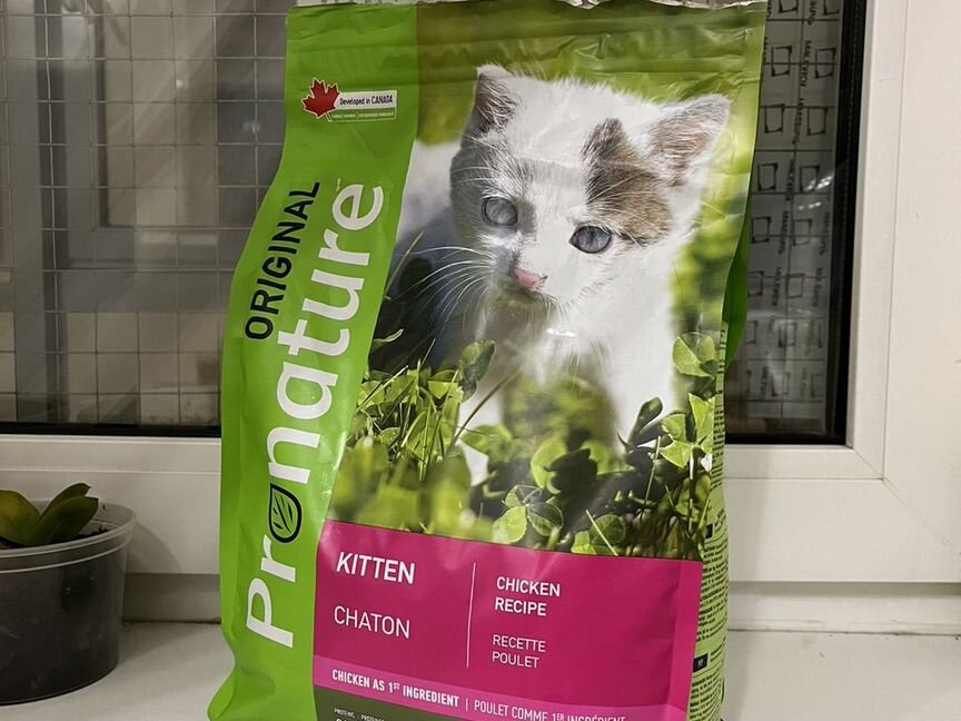 Корм сухой Pronature Original NEW для котят