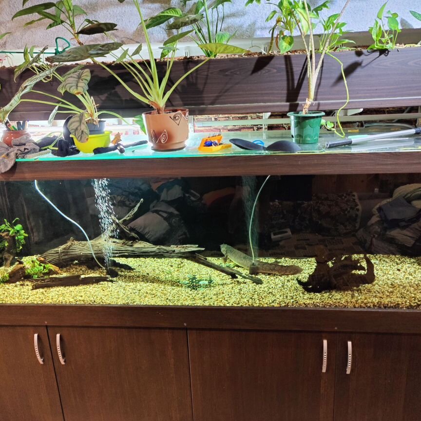 Аквариумная система