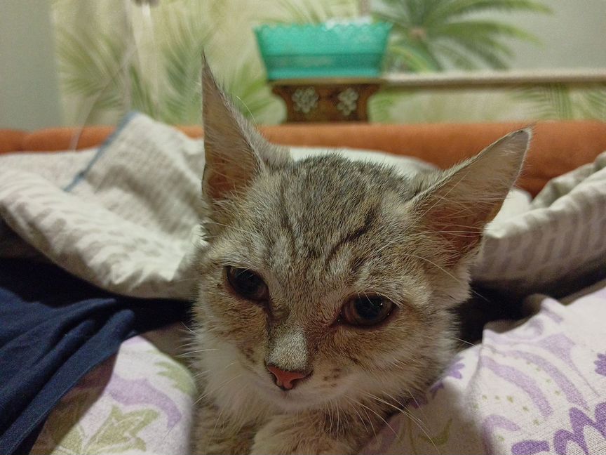 Помогите найти дом