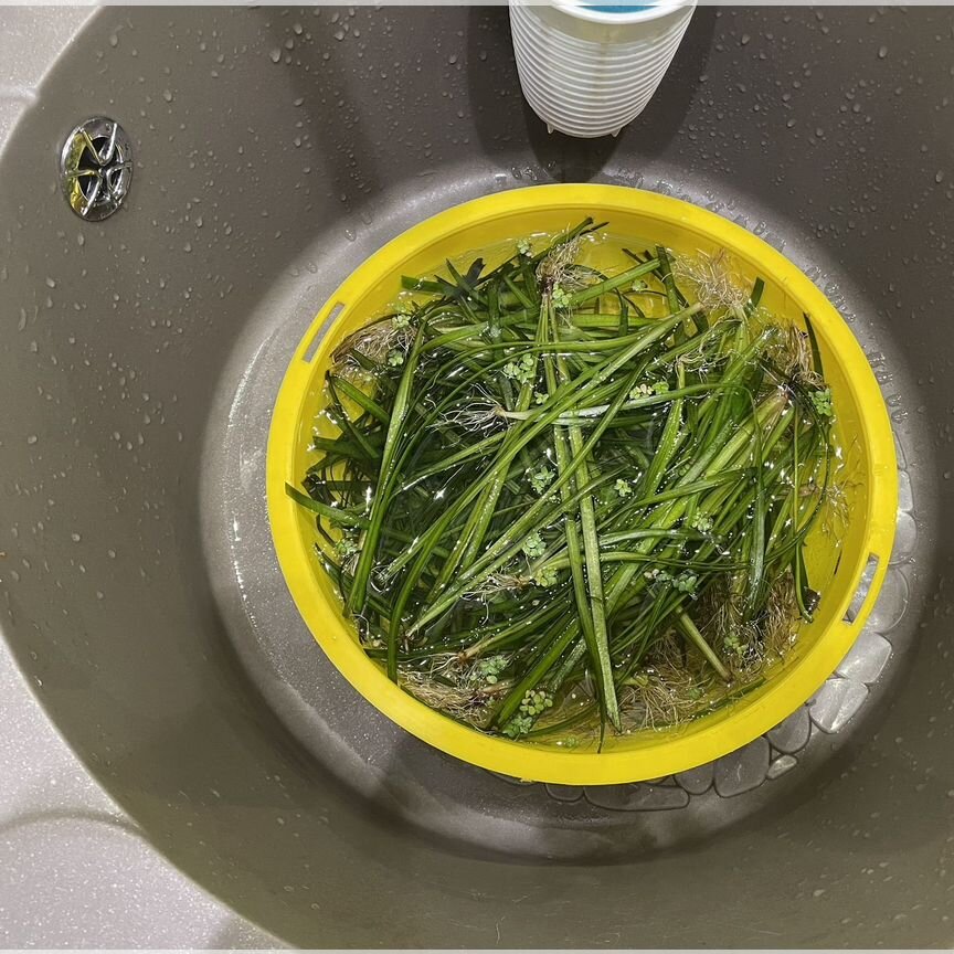 Аквариумная прополка